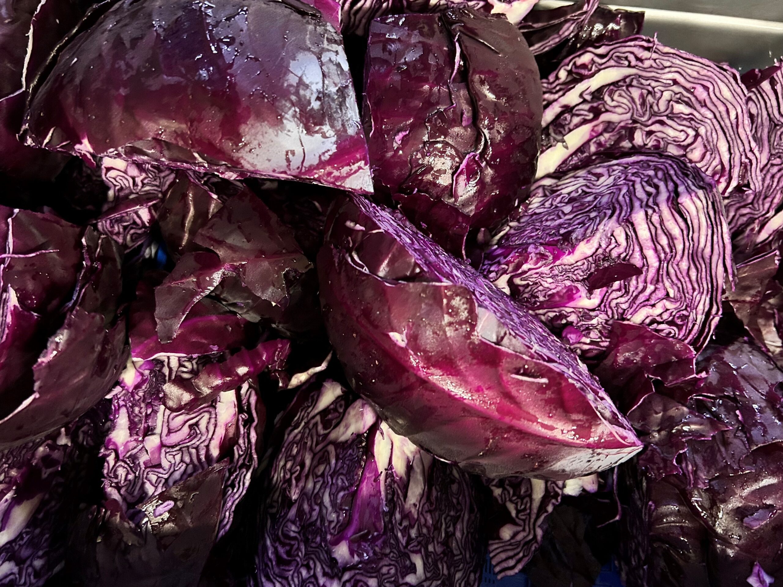 Découvrez notre chou rouge ! - Solema